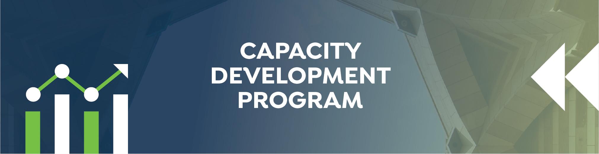 Capacity Development Program | AUC School of Business Capacity Development Program | AUC School of Business