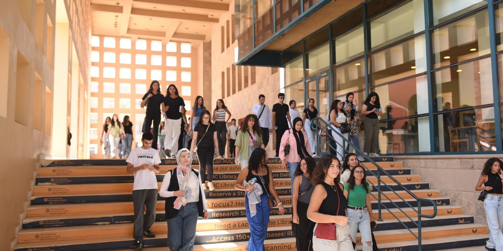Academics | AUC School of Business
